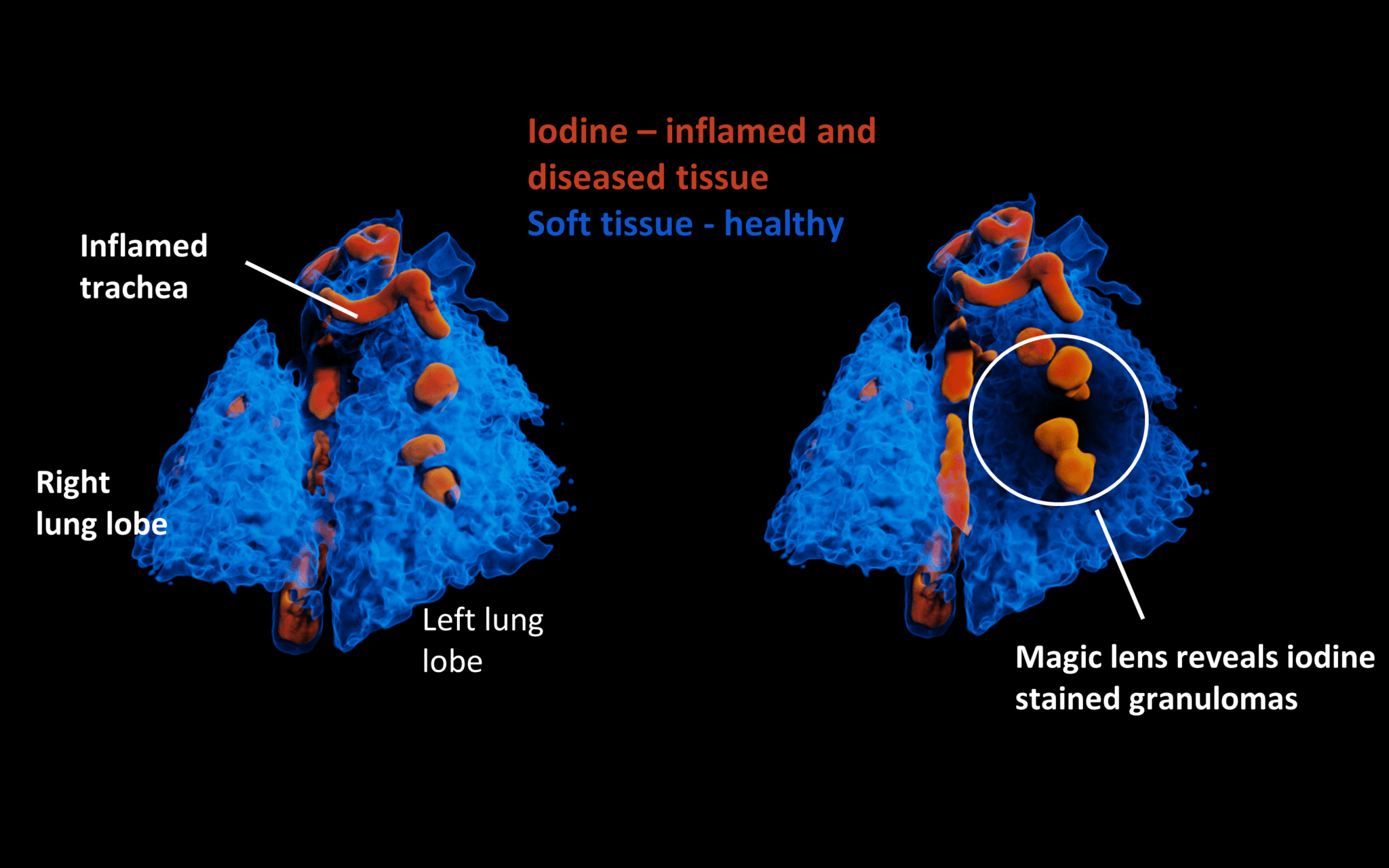 Applications & Publications – MARS Bioimaging