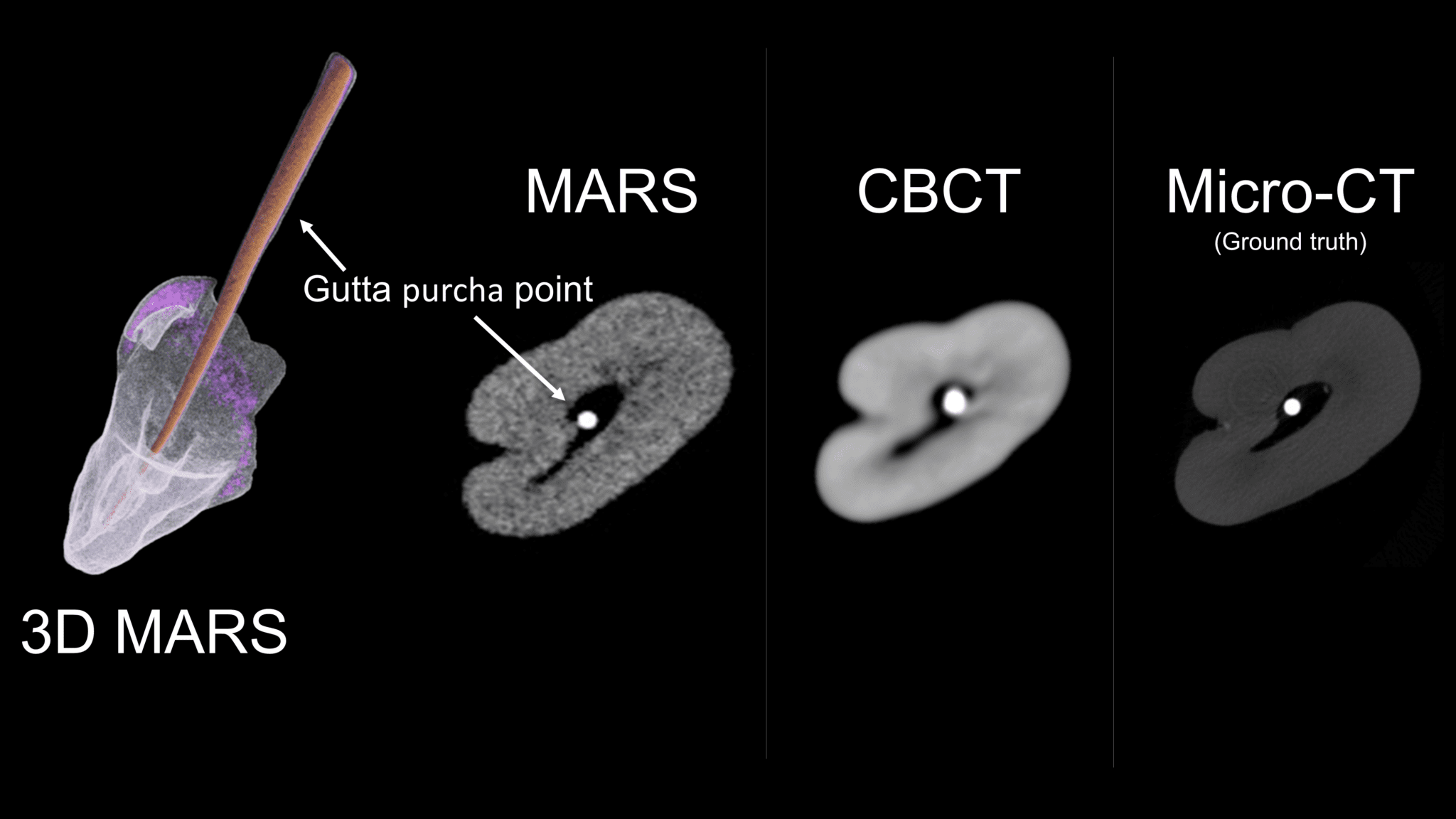 Applications & Publications – MARS Bioimaging